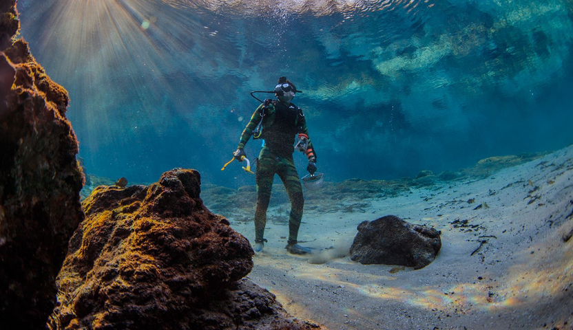 DALLMYD | Official Storefront