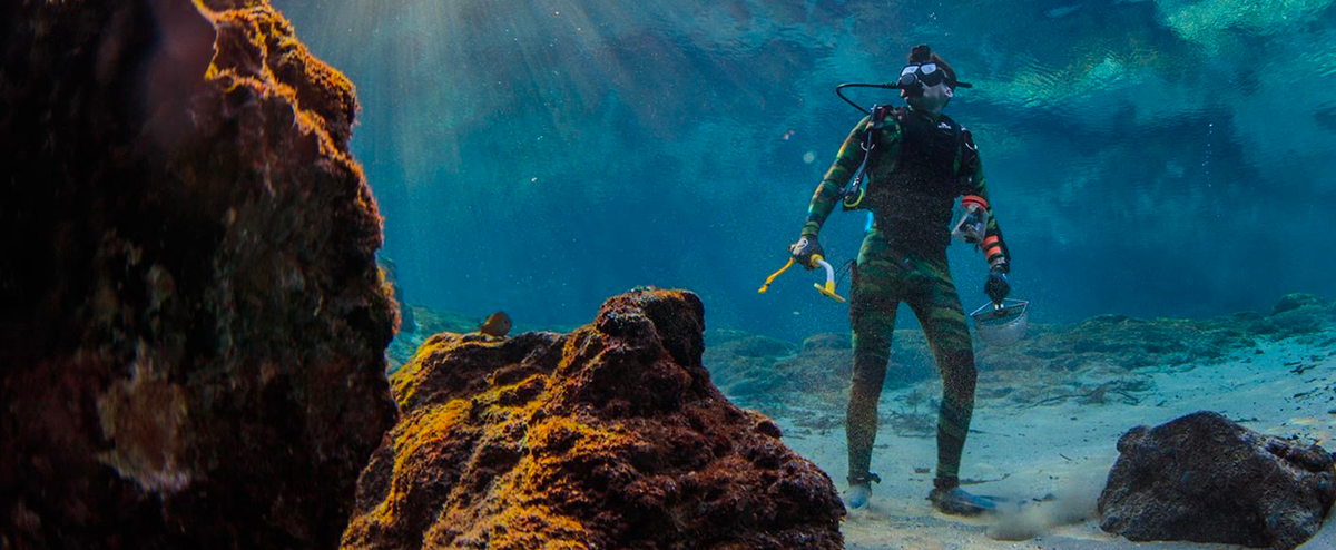 DALLMYD | Official Storefront